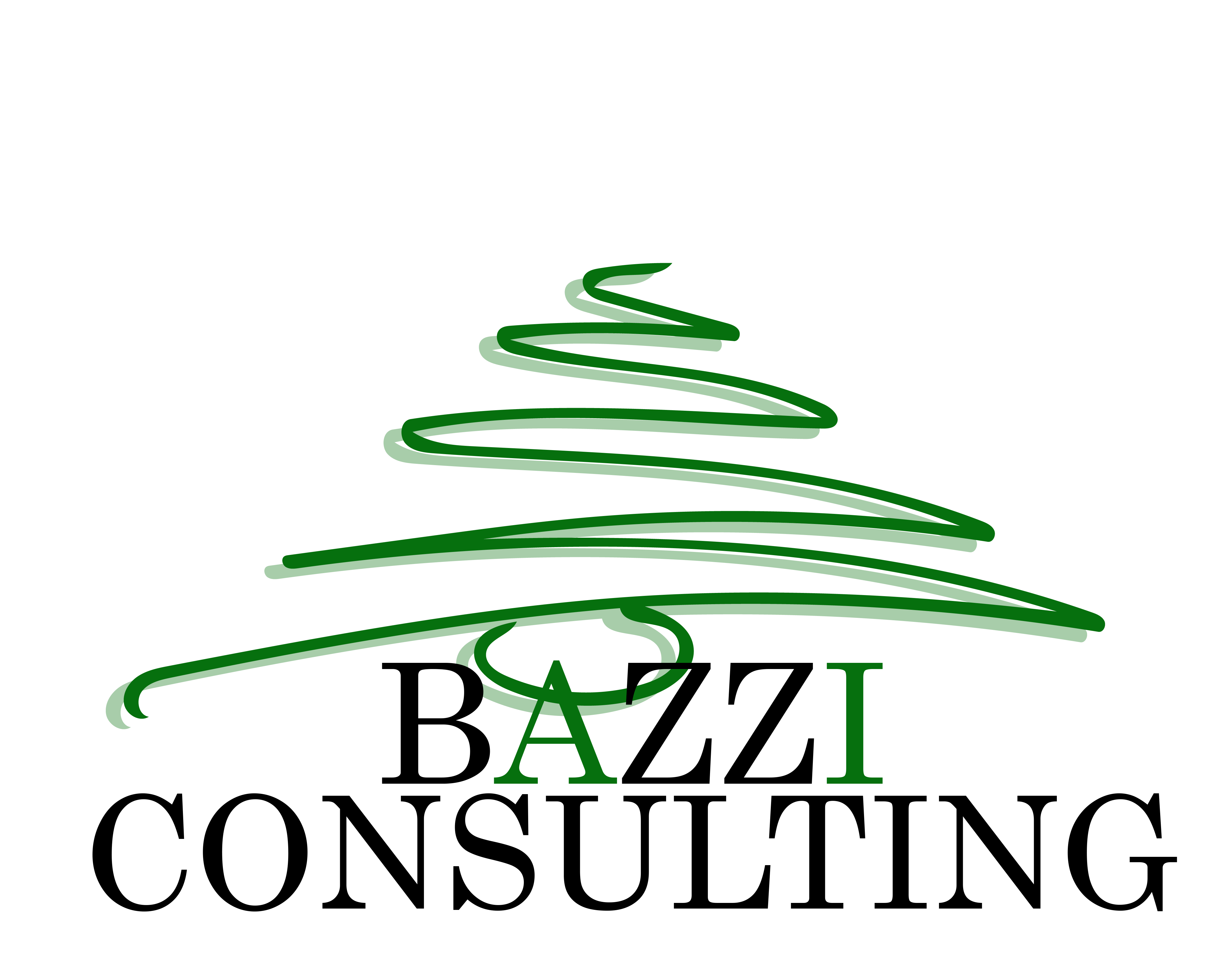 BAZZI CONSULTING